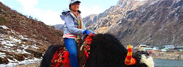 Sikkim Attraction, Things to Do - Sky World Tour & Travels